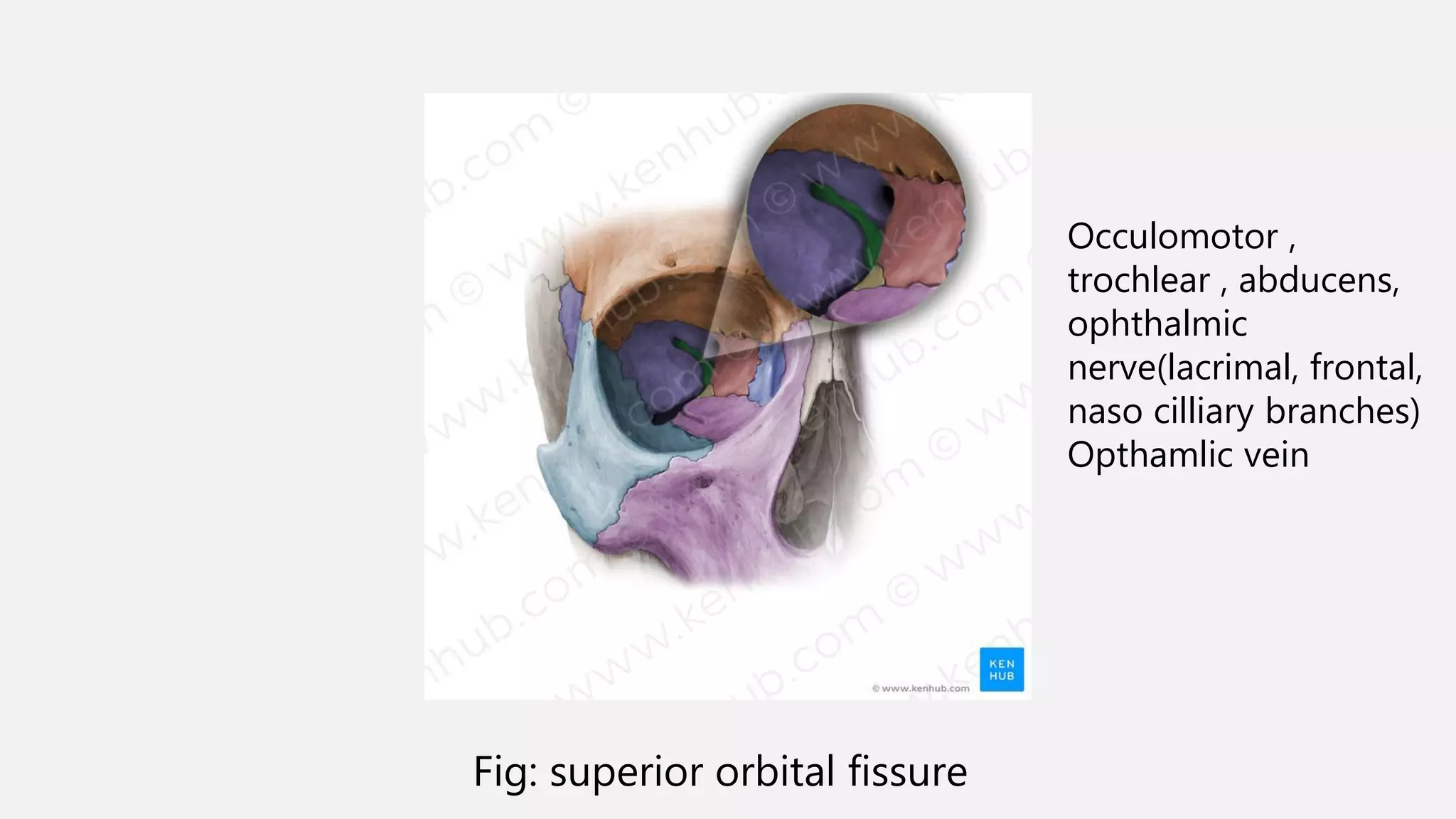 Ncct and cect brain and orbit | PPTX
