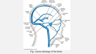 Ncct and cect brain and orbit | PPTX