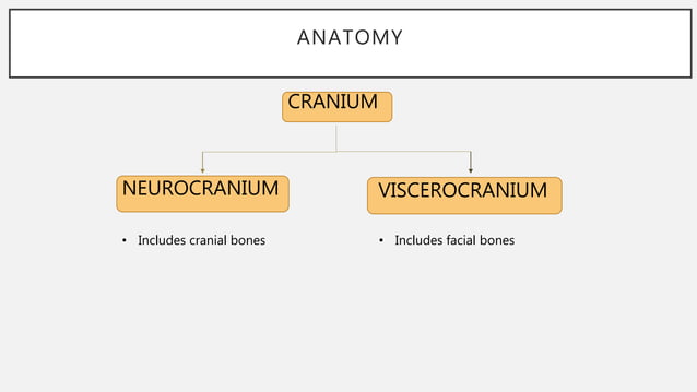 Ncct and cect brain and orbit | PPTX | Blood Disorders | Diseases and ...