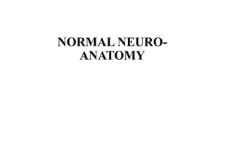 NCCT BRAIN Tutorial.pdf it have details of brain | PDF