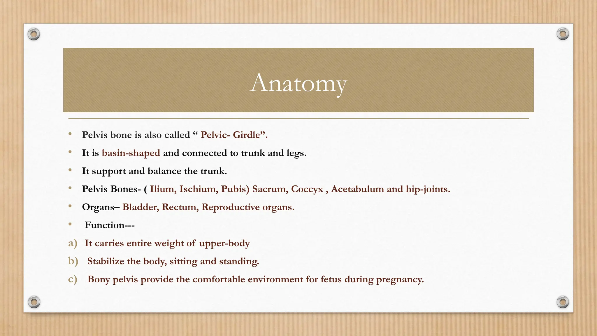 NCCT& CECT Pelvis for radiology students | PPTX