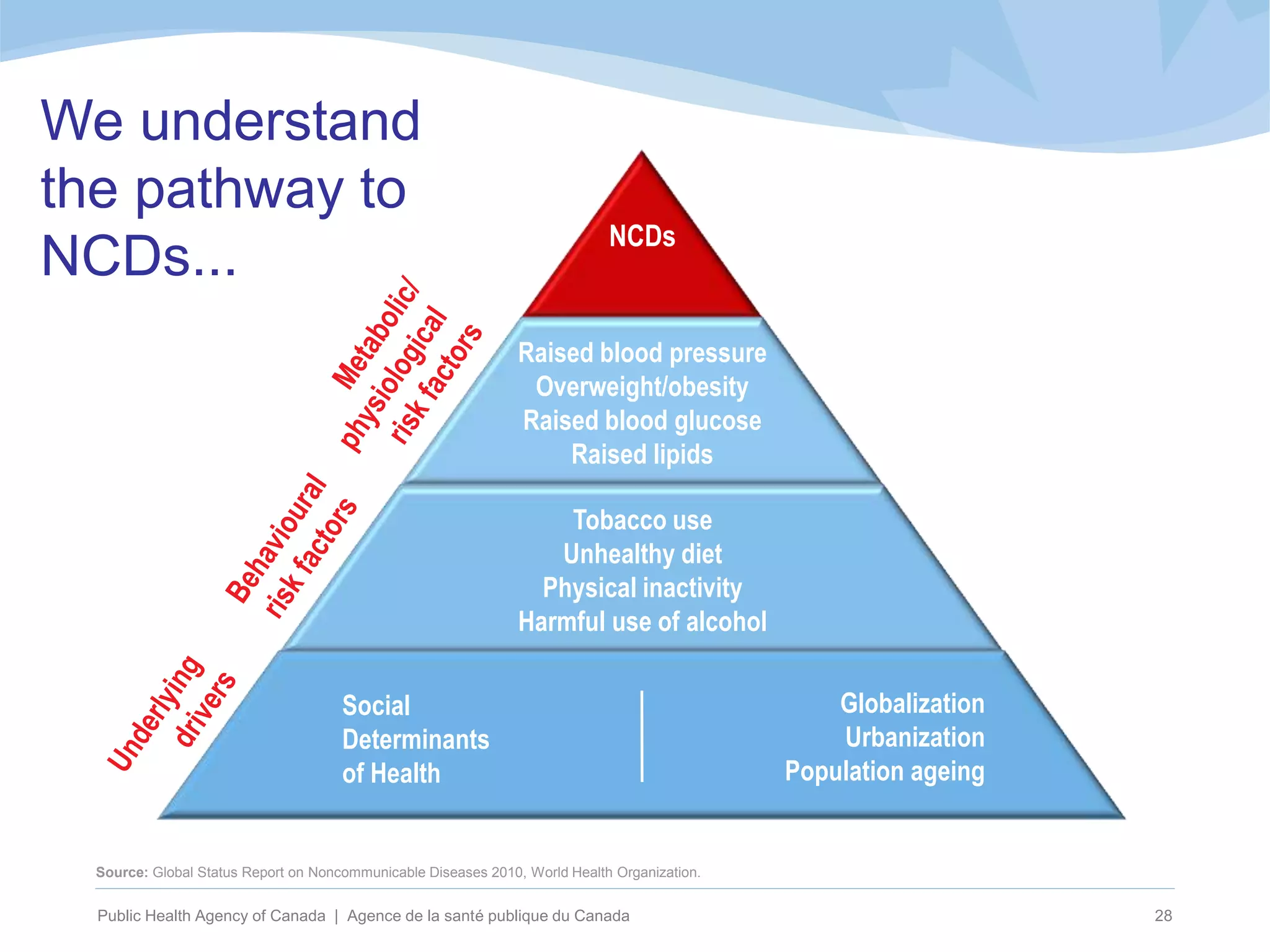 Non Communicable Disease: Prevention and Mangement | PPTX