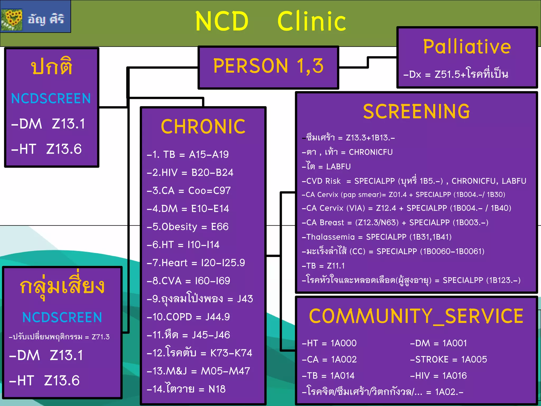 Ncd_datacorrect | PDF