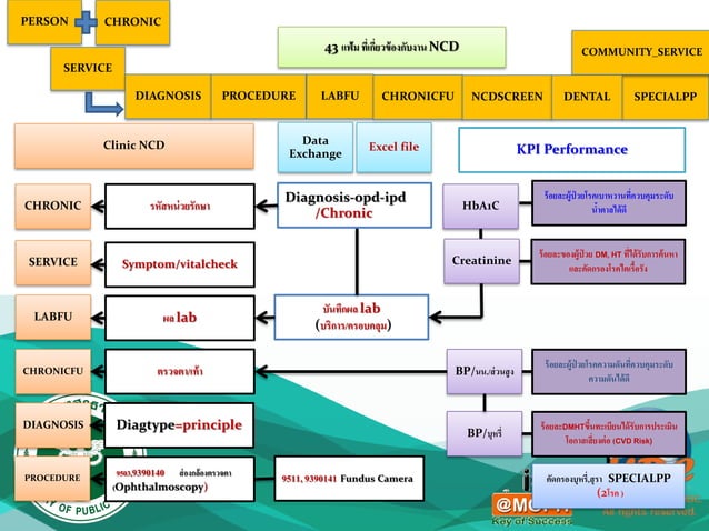 Ncd_datacorrect | PDF