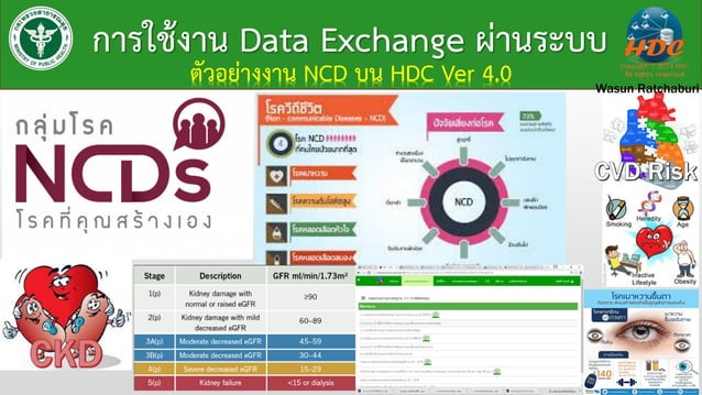 Ncd_datacorrect | PDF