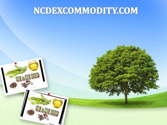 Ncdex dhaniya tips | PPTX