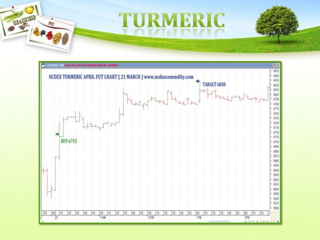 Ncdex dhaniya tips | PPTX