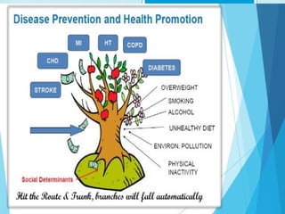 Non communicable diseases . An overview of prevention on ncds | PPT