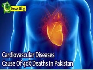 Non communicable diseases . An overview of prevention on ncds | PPT