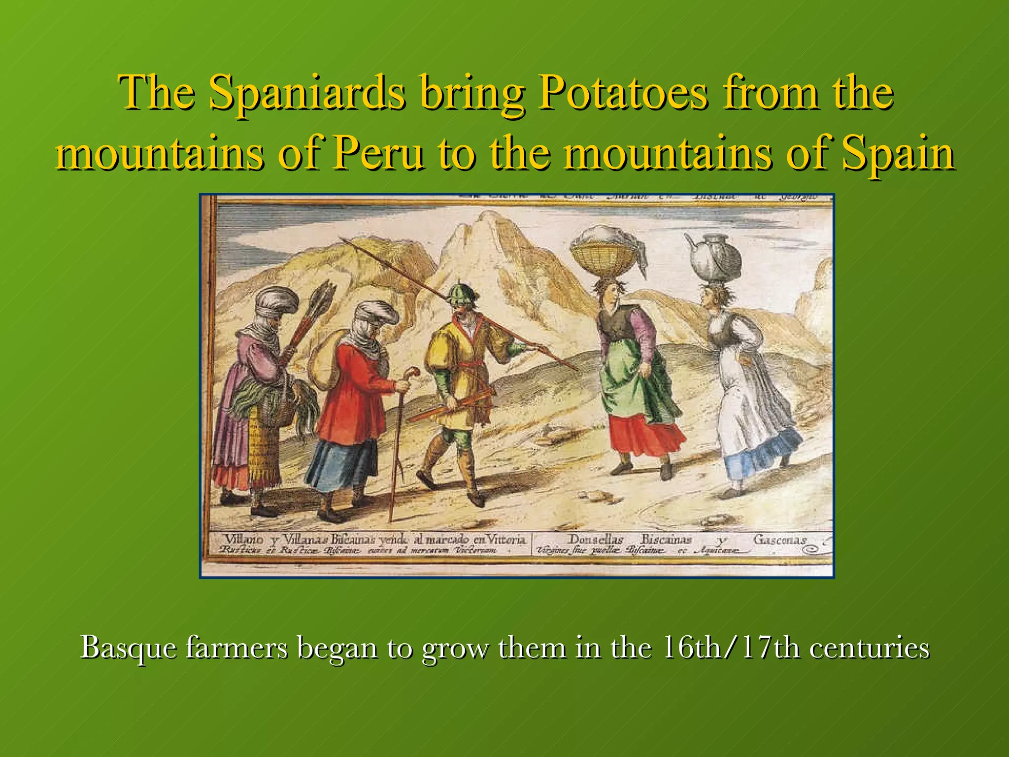NCDS Multicultural Night Irish Potato History | PPT