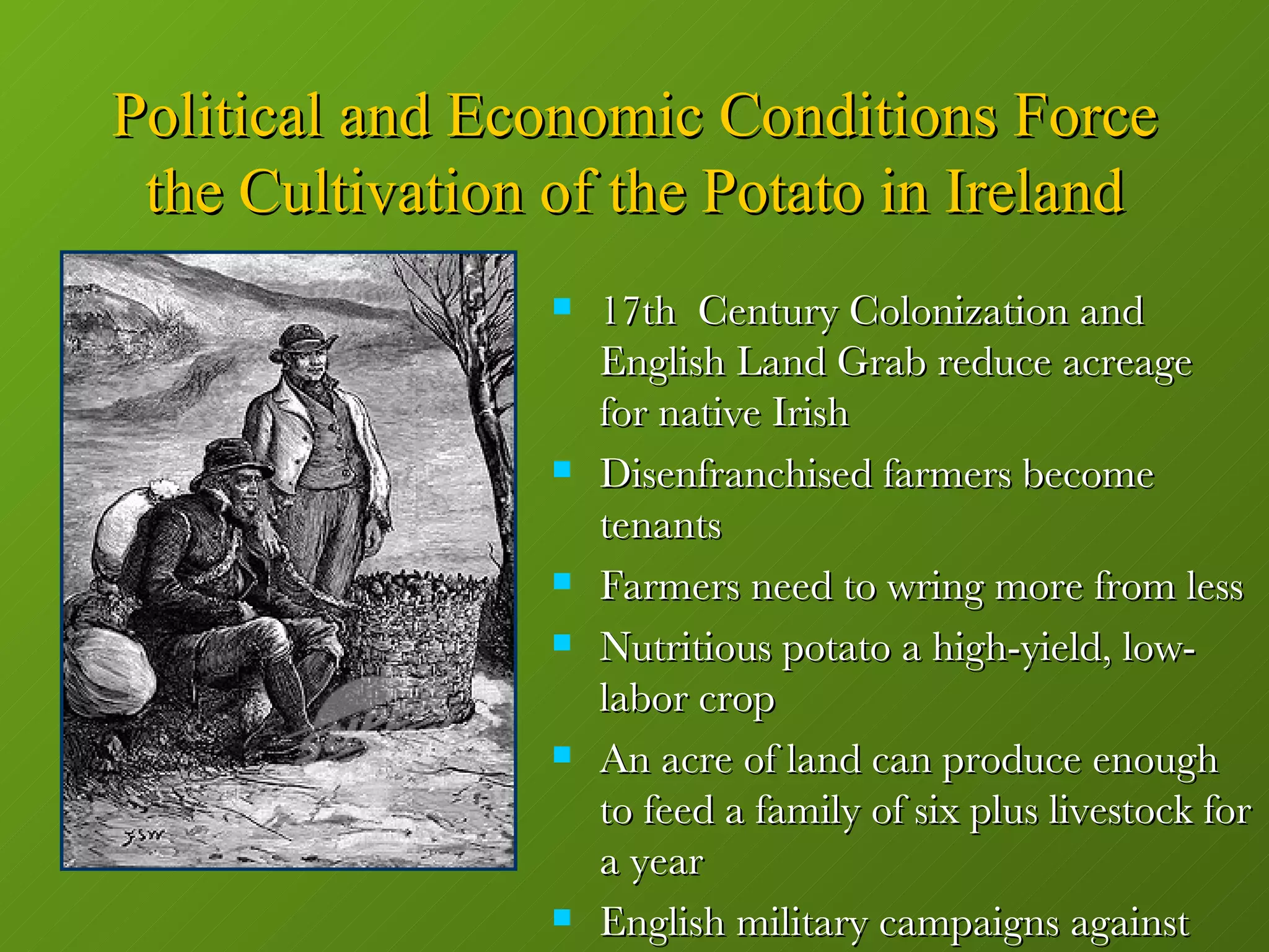 NCDS Multicultural Night Irish Potato History | PPT