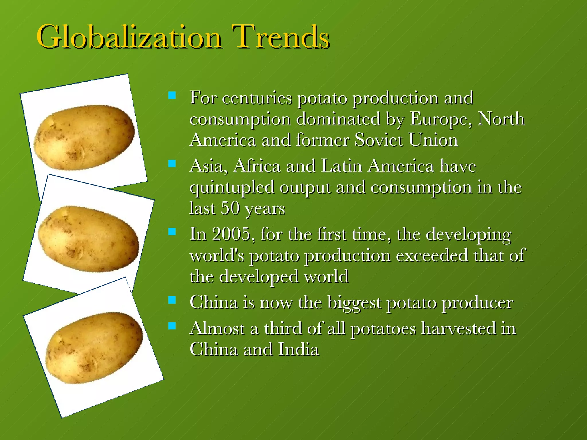 NCDS Multicultural Night Irish Potato History | PPT