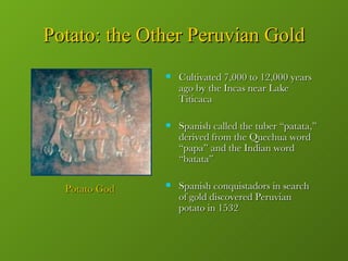 NCDS Multicultural Night Irish Potato History | PPT