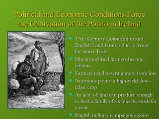 NCDS Multicultural Night Irish Potato History | PPT | Agriculture ...
