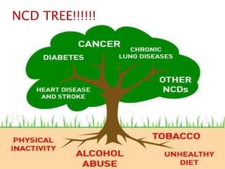 NCDs Burden in Bangladesh | PPT