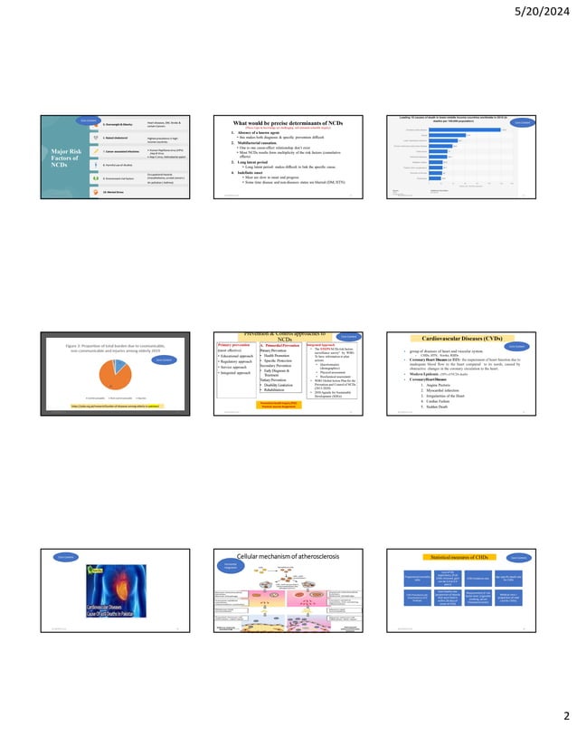 Non communicable diseases Hypertension ,Stroke 2024.pdf