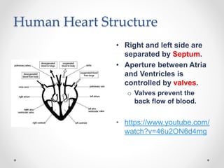 Ncert class 10 - science - chapter 6 -l ife processes | PPTX