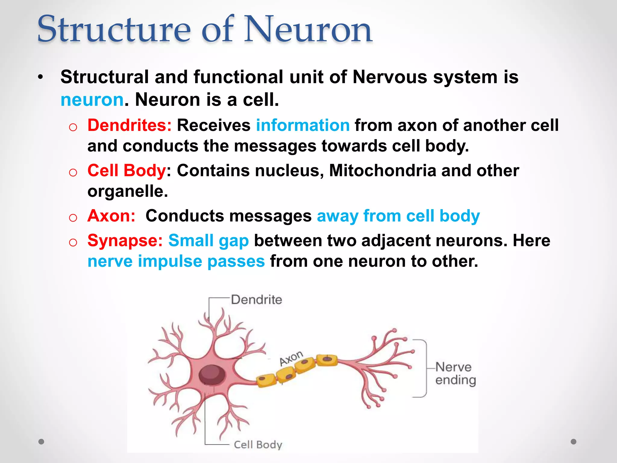 Ncert class 10 - science - chapter 7 - control and coordination | PPTX