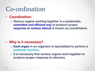 Ncert class 10 - science - chapter 7 - control and coordination | PPTX