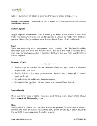 NCERT & CBSE For Class 6 Science Parts of a plant Chapter – 7.pdf