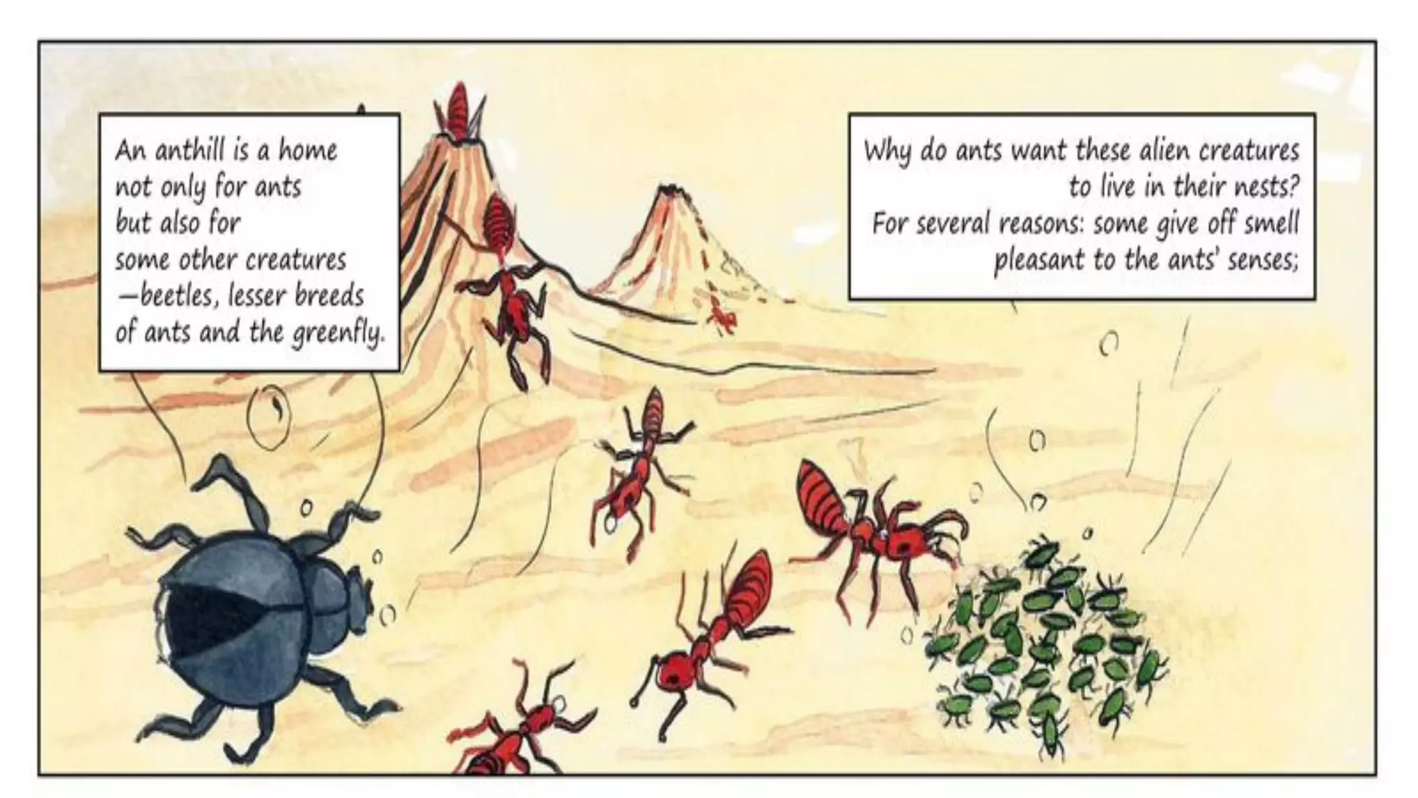 NCERT Grade 7 English An Alien Hand Chapter 1 The Tiny Teacher Picture ...