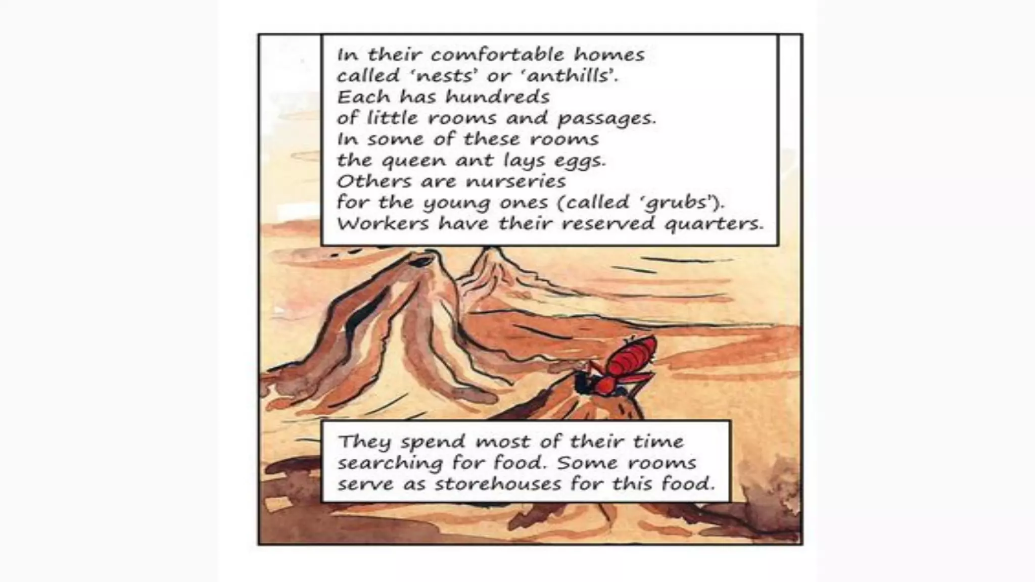 NCERT Grade 7 English An Alien Hand Chapter 1 The Tiny Teacher Picture ...