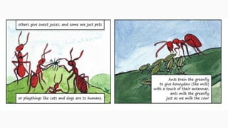 NCERT Grade 7 English An Alien Hand Chapter 1 The Tiny Teacher Picture ...