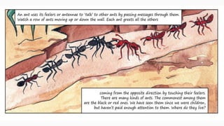 NCERT Grade 7 English An Alien Hand Chapter 1 The Tiny Teacher Picture ...