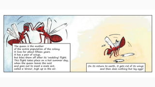 NCERT Grade 7 English An Alien Hand Chapter 1 The Tiny Teacher Picture ...