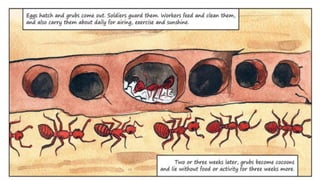 NCERT Grade 7 English An Alien Hand Chapter 1 The Tiny Teacher Picture ...