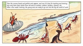 NCERT Grade 7 English An Alien Hand Chapter 1 The Tiny Teacher Picture ...