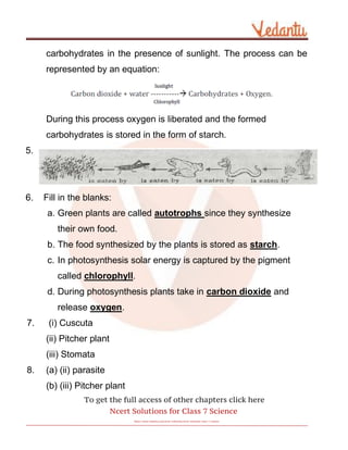 Ncert Solutions for Class 7 Science | PDF