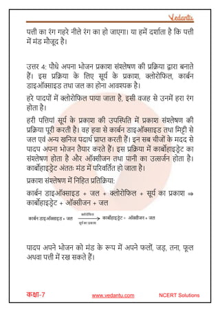 Ncert Solutions for Class 7 Science in Hindi | PDF