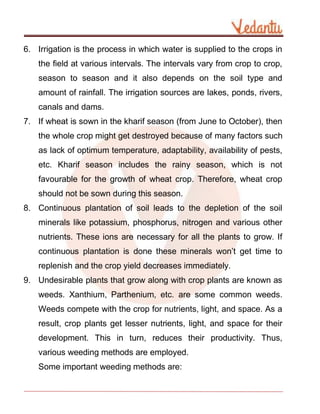 Ncert Solutions for Class 8 Science | PDF