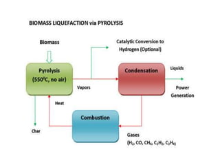 BIOMASS ENERGY AND BIOMASS CONVERSION | PPTX