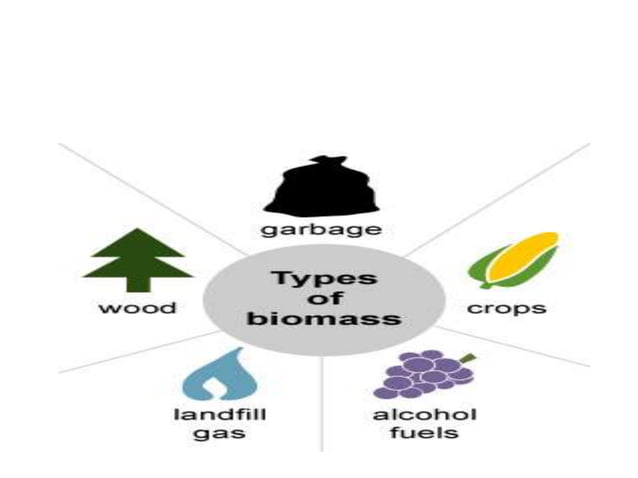 BIOMASS ENERGY AND BIOMASS CONVERSION | PPTX | Chemistry | Science