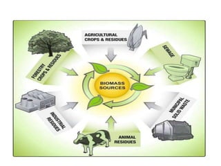 BIOMASS ENERGY AND BIOMASS CONVERSION | PPTX