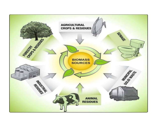 BIOMASS ENERGY AND BIOMASS CONVERSION | PPTX | Chemistry | Science