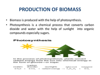 BIOMASS ENERGY AND BIOMASS CONVERSION | PPTX