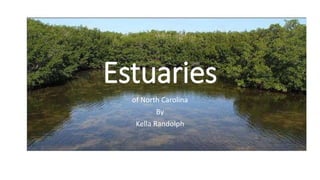NC Estuaries | PPT