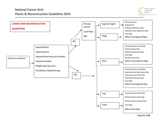 NCG Plastic-reconstructive-surgery-guidelines 2.pdf