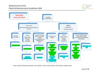 NCG Plastic-reconstructive-surgery-guidelines 2.pdf