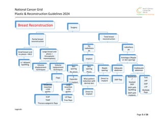 NCG Plastic-reconstructive-surgery-guidelines 2.pdf