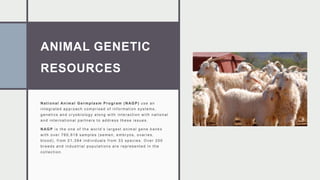 National Center for Genetic Resources Fort Collins.pptx