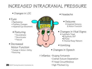 Nc head and spinal trauma | PPT