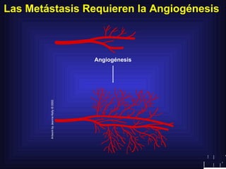 Angiogenesis | PPT