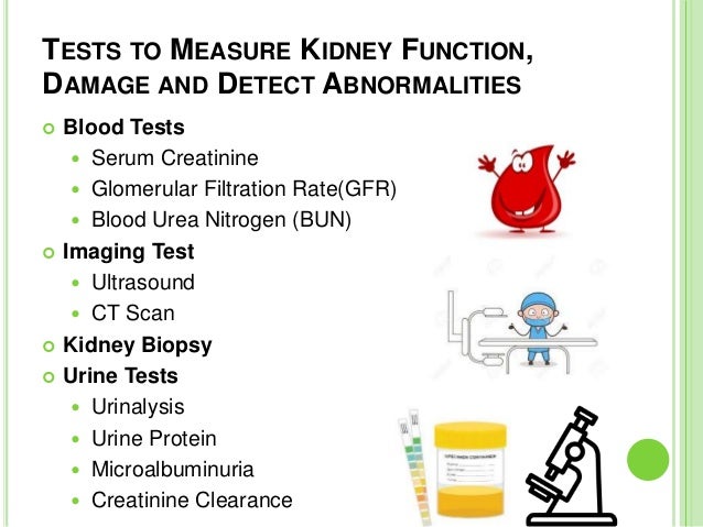 Advancing global nephrology: New innovations and trends
