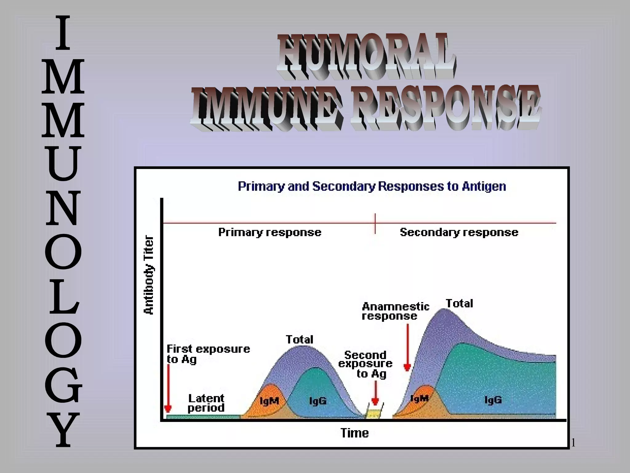 Immunology: Humoral Immune Response | PPT