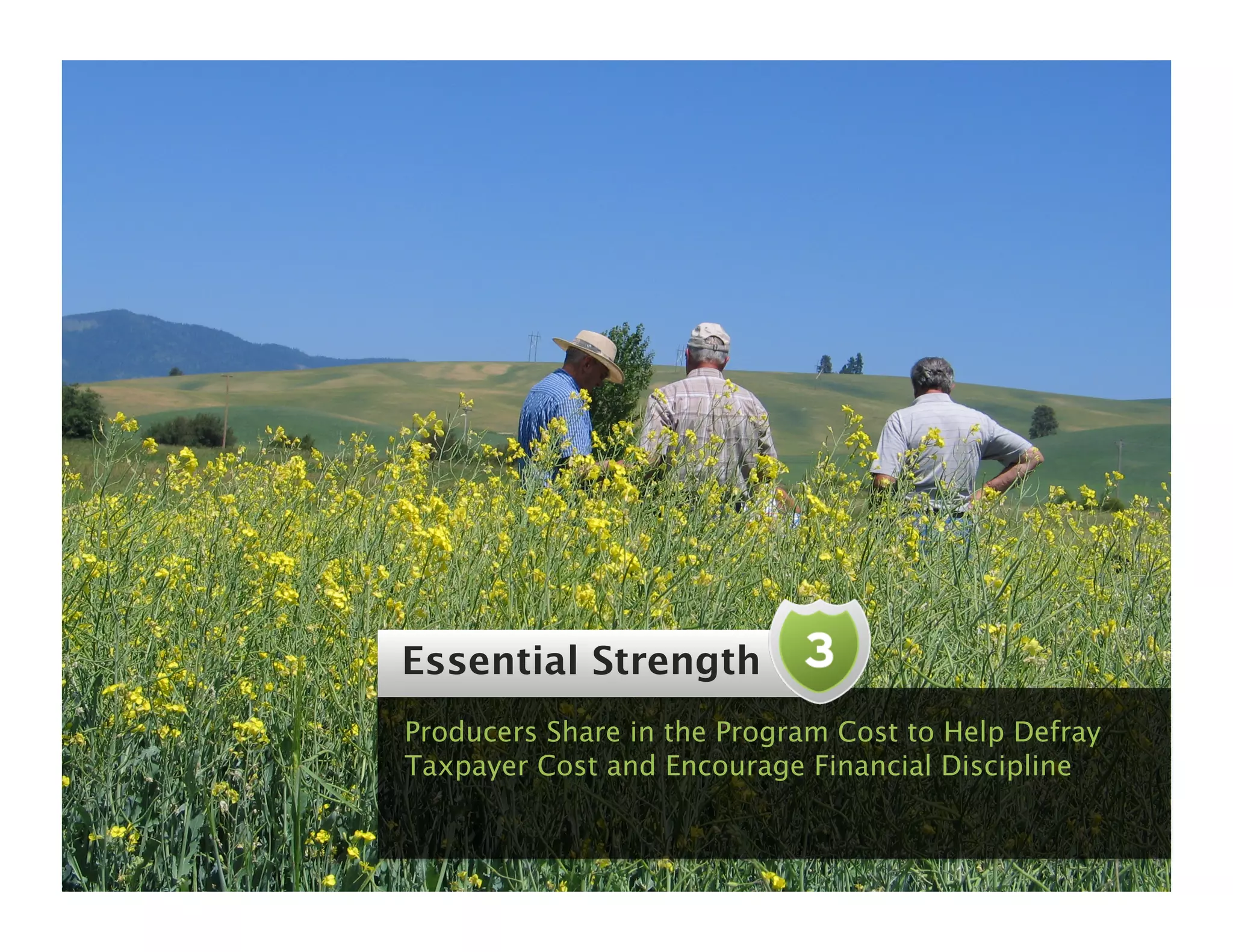 Essential Strengths Presentation | PDF