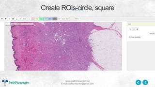 PathPresenter | PPTX